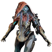 Ivara | WARFRAME Wiki | Fandom