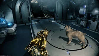 Kubrow/Gallery | WARFRAME Wiki | Fandom