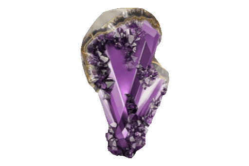 Amarast | Warframe Wiki | Fandom
