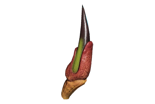 Nistlepod | Warframe Wiki | Fandom