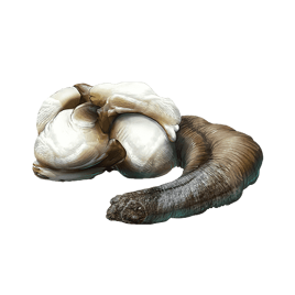 Murkray Liver | WARFRAME Wiki | Fandom