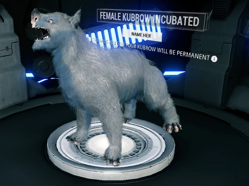 Kubrow | Magyar Warframe Wiki | Fandom