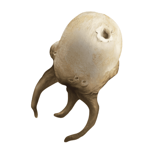 Extrait de Tasoma | Wiki Warframe | Fandom