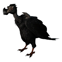 Conservation | Wiki Warframe | Fandom