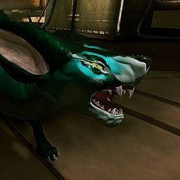 Cat's Eye | WARFRAME Wiki | Fandom