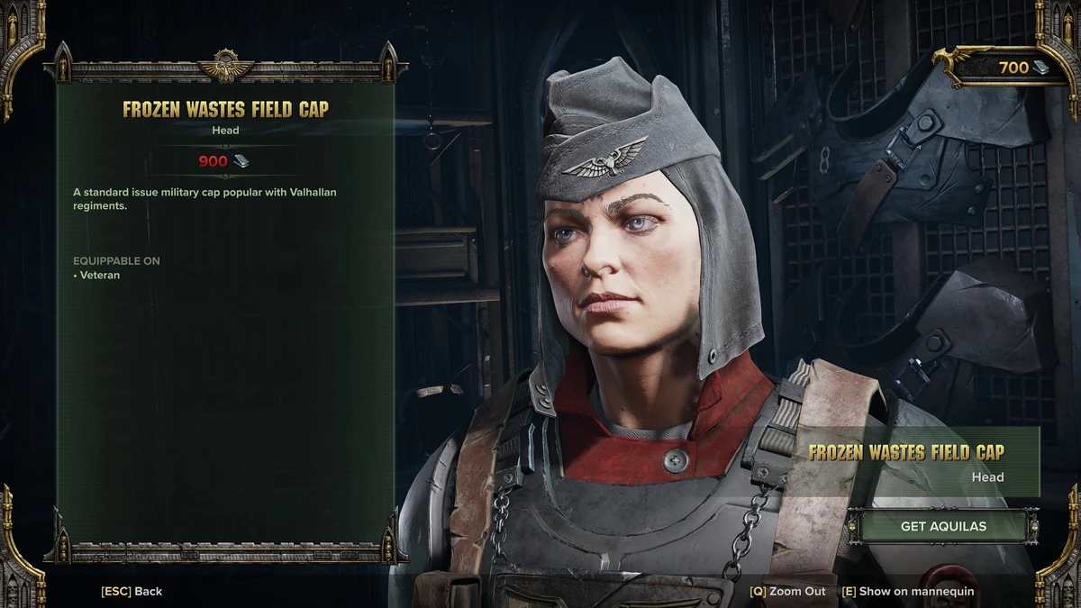 Valhallan Ice Warriors | Warhammer 40K Darktide Wiki | Fandom