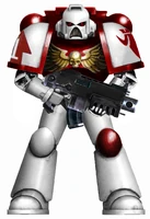 Blazoned Legion | Warhammer 40k Wiki | Fandom