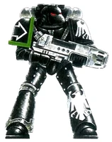 Raven Guard | Warhammer 40k Wiki | Fandom