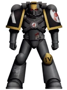 Red Scorpions | Warhammer 40k Wiki | Fandom