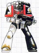 Omega Marines | Warhammer 40k Wiki | Fandom