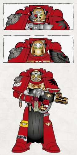 Blood Angels Sternguard