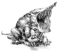 Squigs | Warhammer 40k Wiki | Fandom