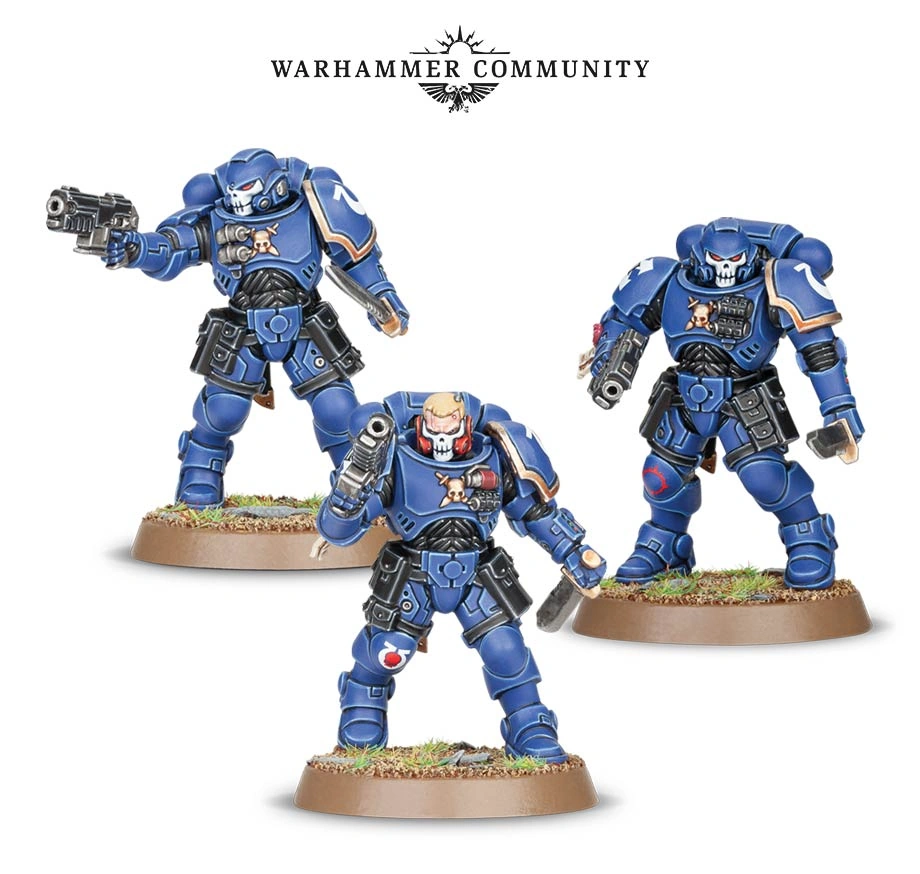 Big Labels Small Prices 5 Primaris Reivers Space Wolves Combat Squad ...