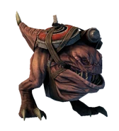 Squigs | Warhammer 40k Wiki | Fandom