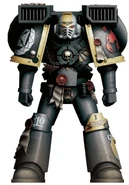 Red Scorpions | Warhammer 40k Wiki | Fandom