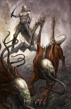 Drukhari | Warhammer 40k Wiki | Fandom