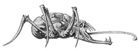 Squigs | Warhammer 40k Wiki | Fandom