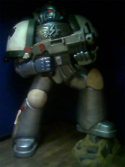 Steel Confessors | Warhammer 40k Wiki | Fandom