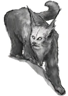 Gyrinx | Warhammer 40k Wiki | Fandom