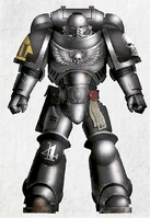 Silver Skulls | Warhammer 40k Wiki | Fandom