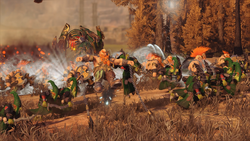 Doomseekers | Warhammer Wiki | Fandom