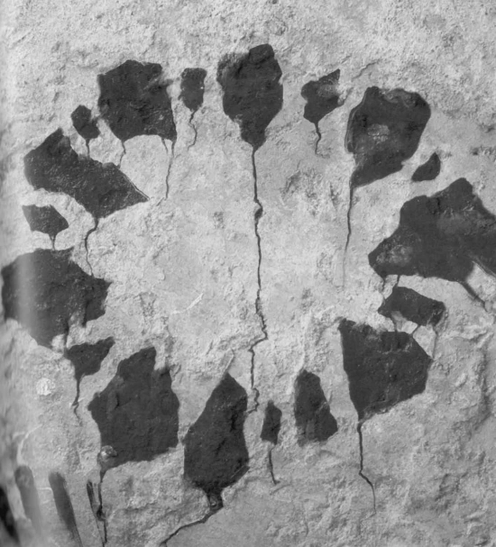 Great Maw | Warhammer Wiki | Fandom