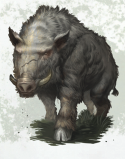 Boar | Warhammer Wiki | Fandom