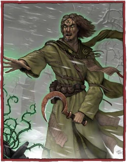 Magister | Warhammer Wiki | Fandom