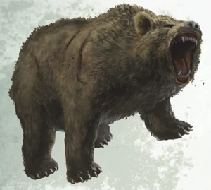 Bears | Warhammer Wiki | Fandom