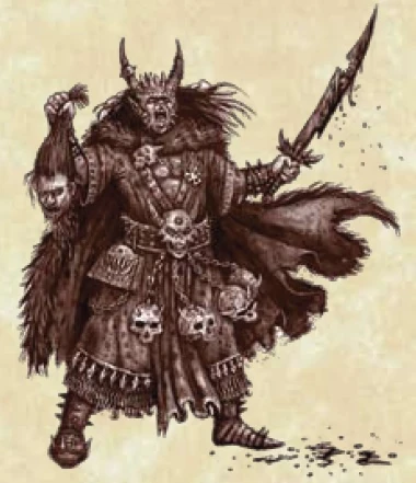 Cult Magus | Warhammer Wiki | Fandom