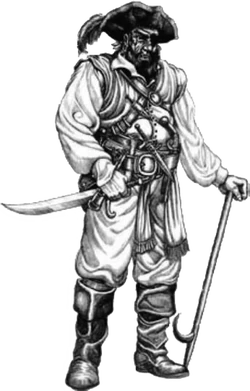 Sea Captain | Warhammer Wiki | Fandom