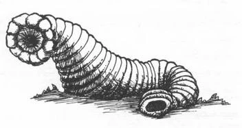 Giant Leech | Warhammer Wiki | Fandom