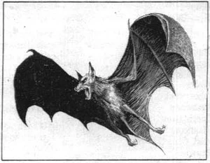 Giant Bat | Warhammer Wiki | Fandom