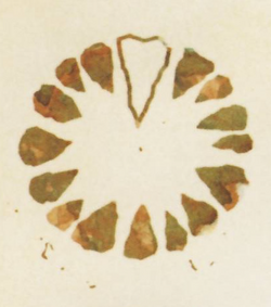 Goldtooth Tribe | Warhammer Wiki | Fandom