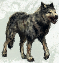 Wolves | Warhammer Wiki | Fandom