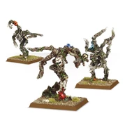 Tree Kin | Warhammer Wiki | Fandom
