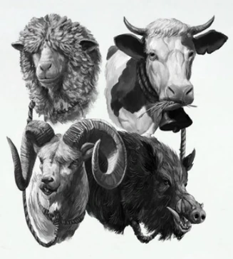 Livestock | Warhammer Wiki | Fandom