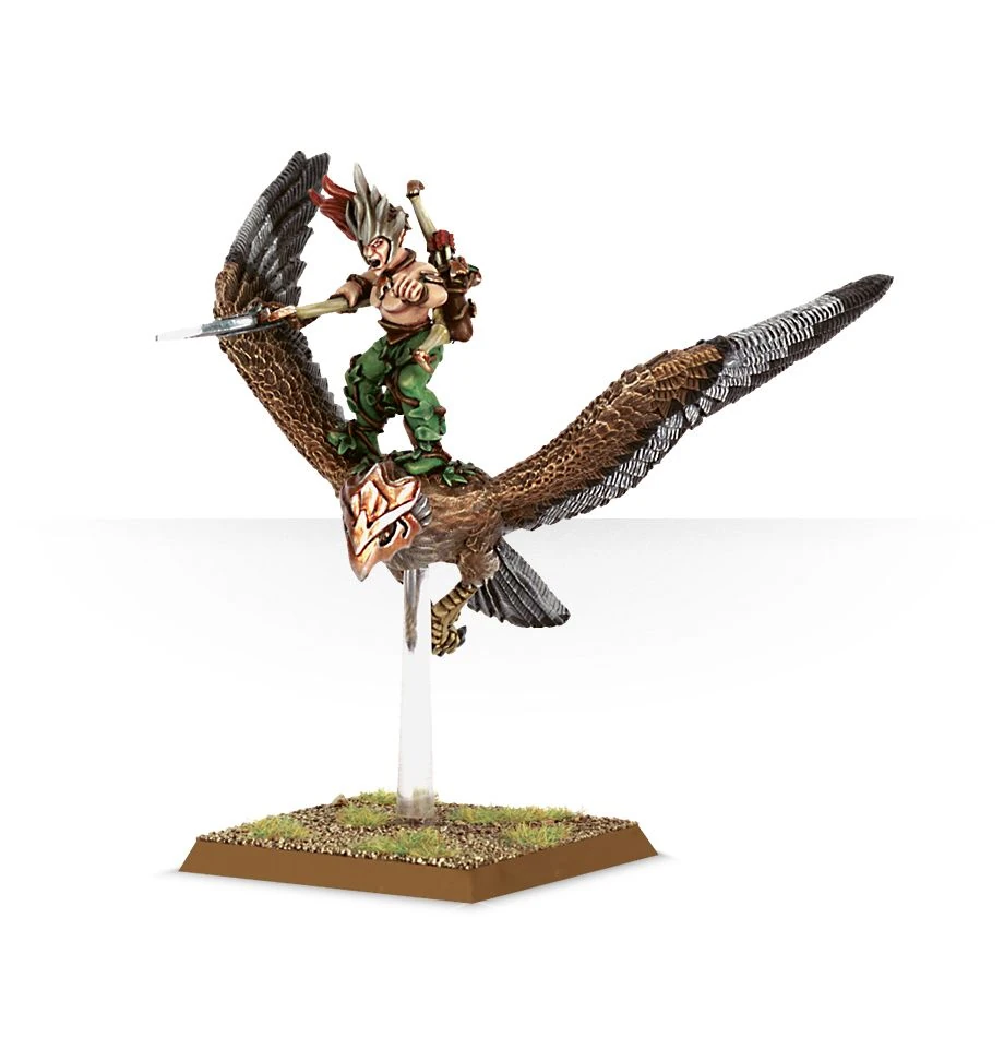 Warhawk Riders | Warhammer Wiki | Fandom