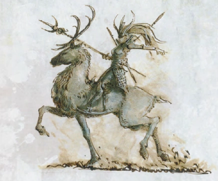 Winterborn | Warhammer Wiki | Fandom