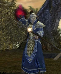 Magus | Warhammer Online | Fandom