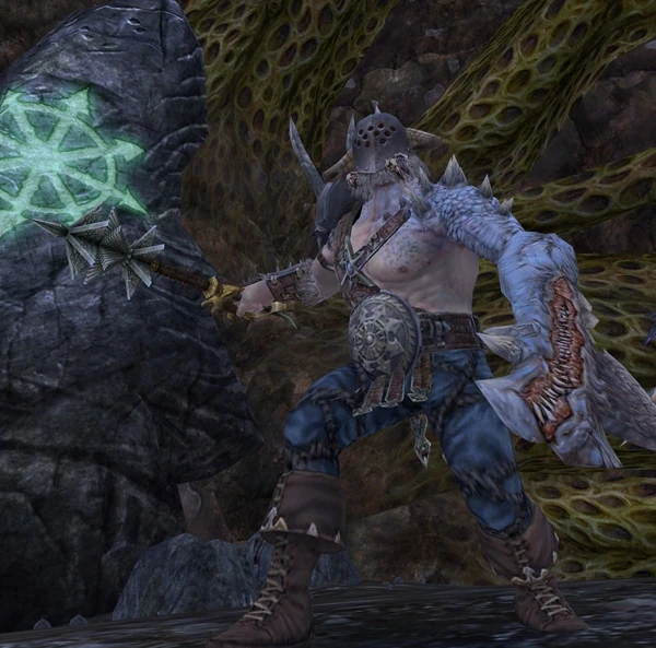 Marauder | Warhammer Online | Fandom