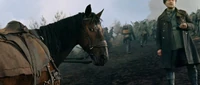 War Horse (film) | Warhorse Wiki | Fandom