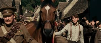 War Horse (film) | Warhorse Wiki | Fandom