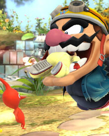 Chomp | WarioWiki | Fandom