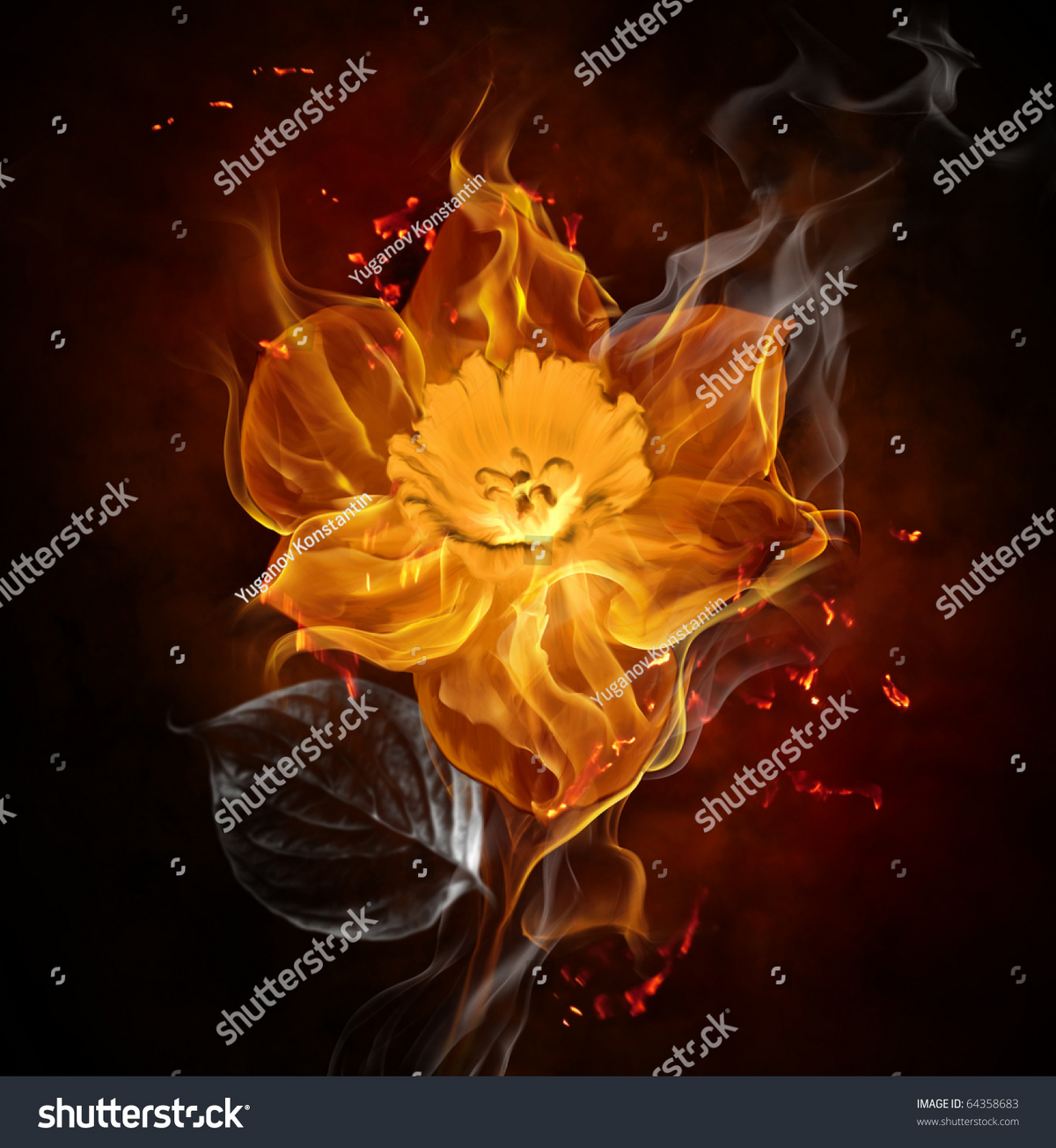 Flaming Poppies Warlock Of The Magus World Wiki Fandom