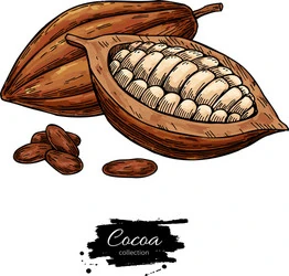 Coco Fruit | Warlock of the Magus World Wiki | Fandom