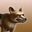 Wolves | Warlock: Master of the Arcane Wiki | Fandom