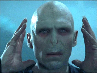 Lord Voldemort | Warner Bros characters Wiki | Fandom