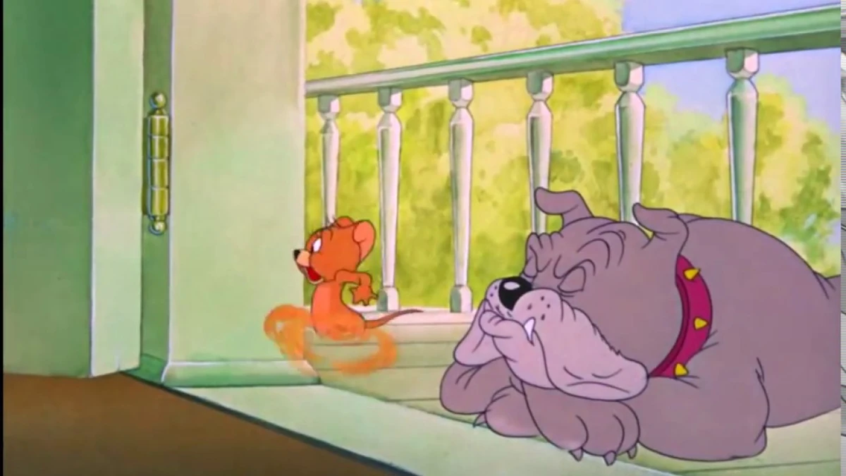 Spike the Bulldog | Warner Bros characters Wiki | Fandom