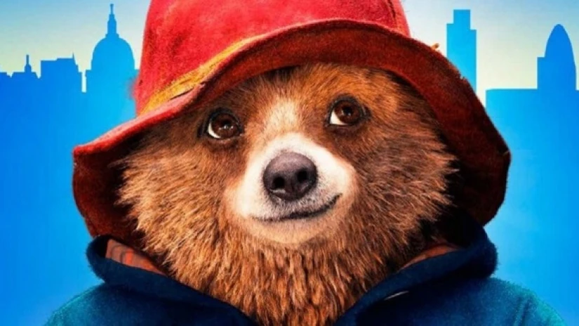 Paddington | Warner Bros characters Wiki | Fandom